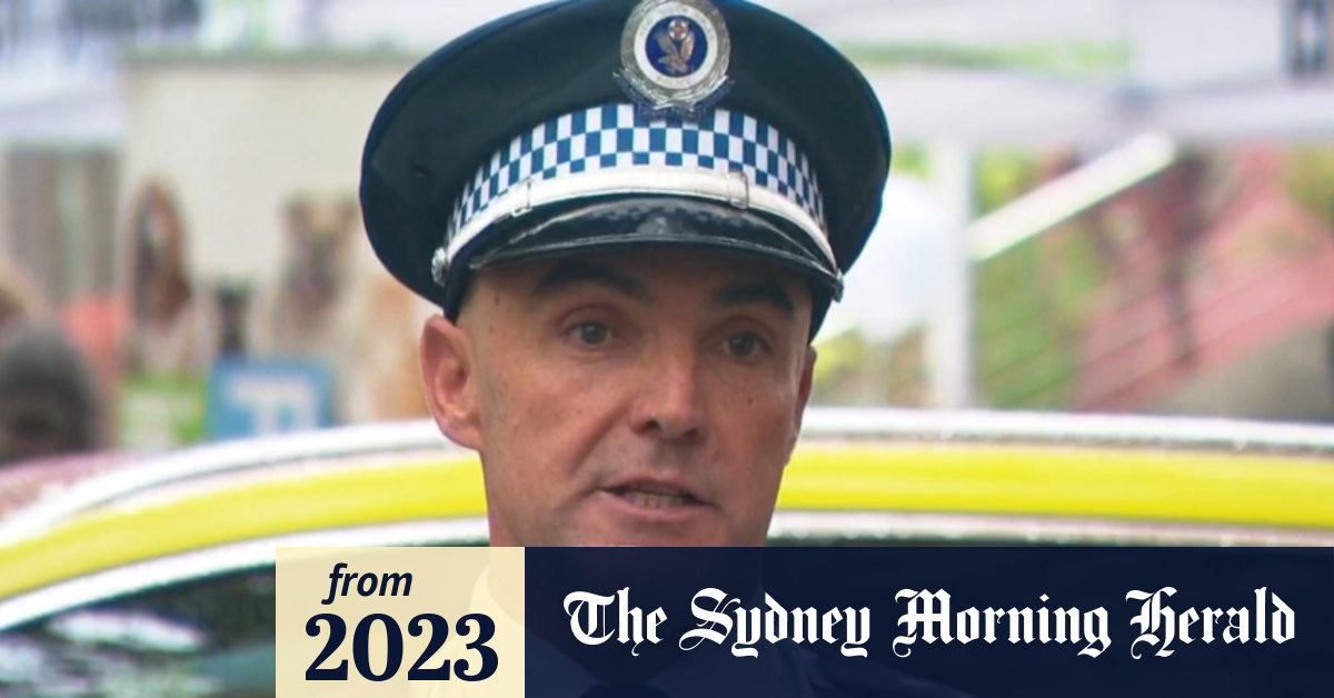 Video: Elderly man dies after alleged hit-and-run